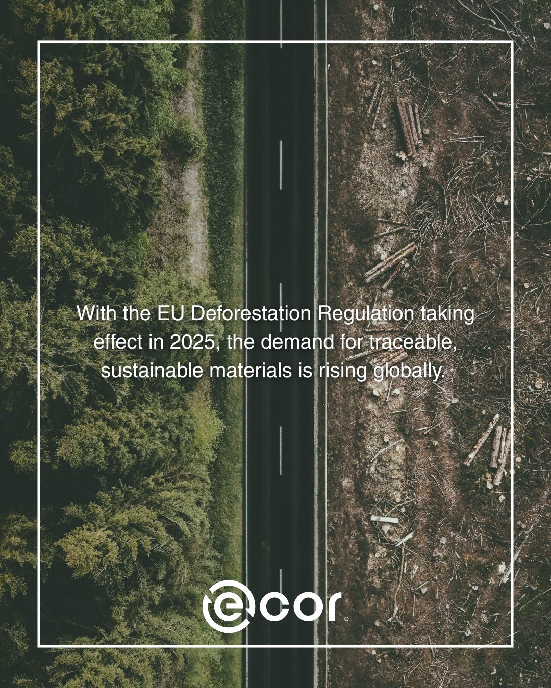 Solving the Traceability Gap: ECOR’s Answer to Forest-Risk ...