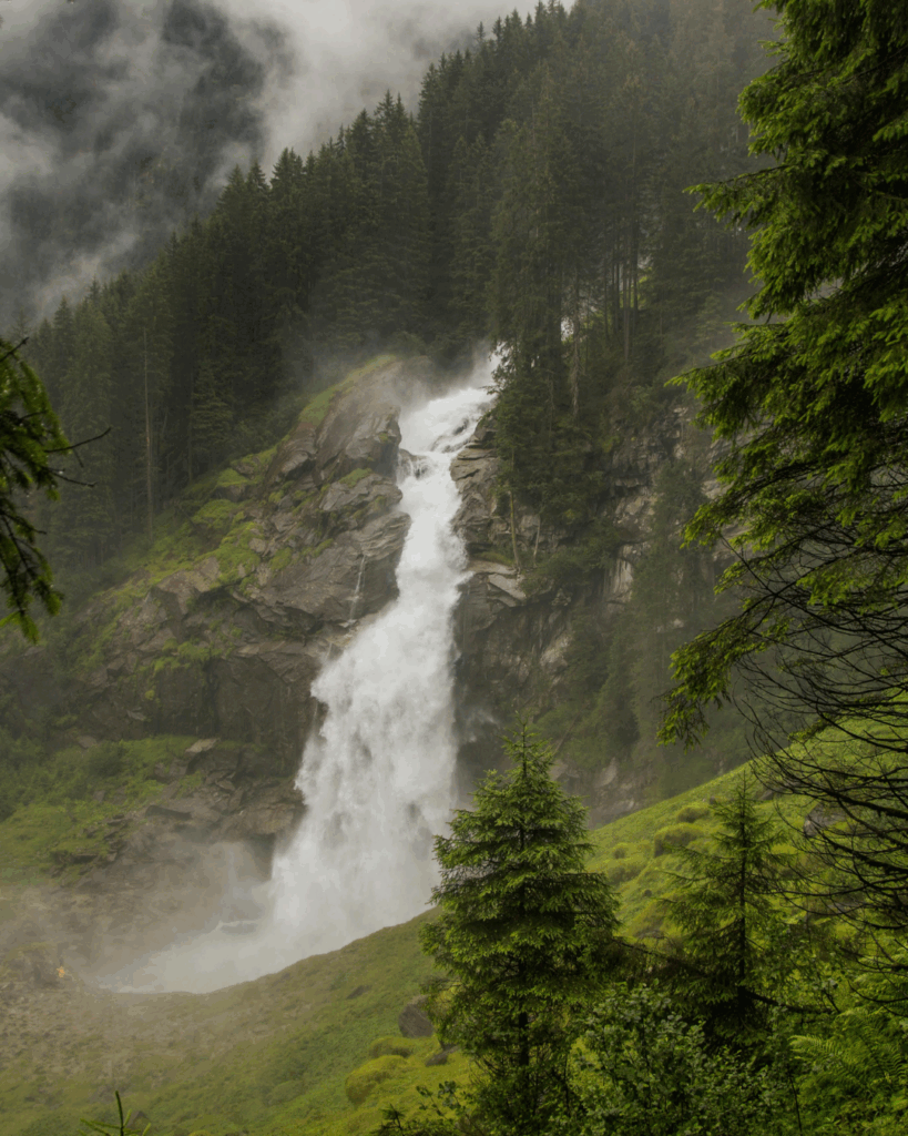 Debt-for-Nature Swaps Explained: How Debt Can Support Environmental ...