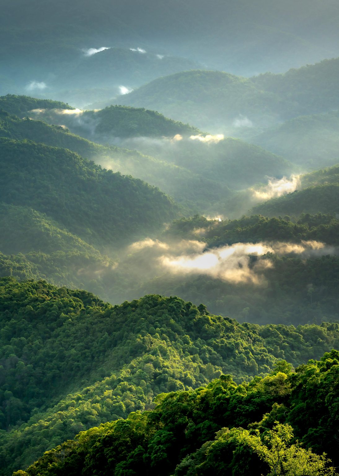 Climate mitigation vs adaptation and the role of climate finance - ECOR ...